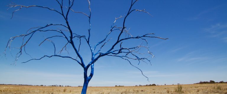 Our Story - Blue Tree Project
