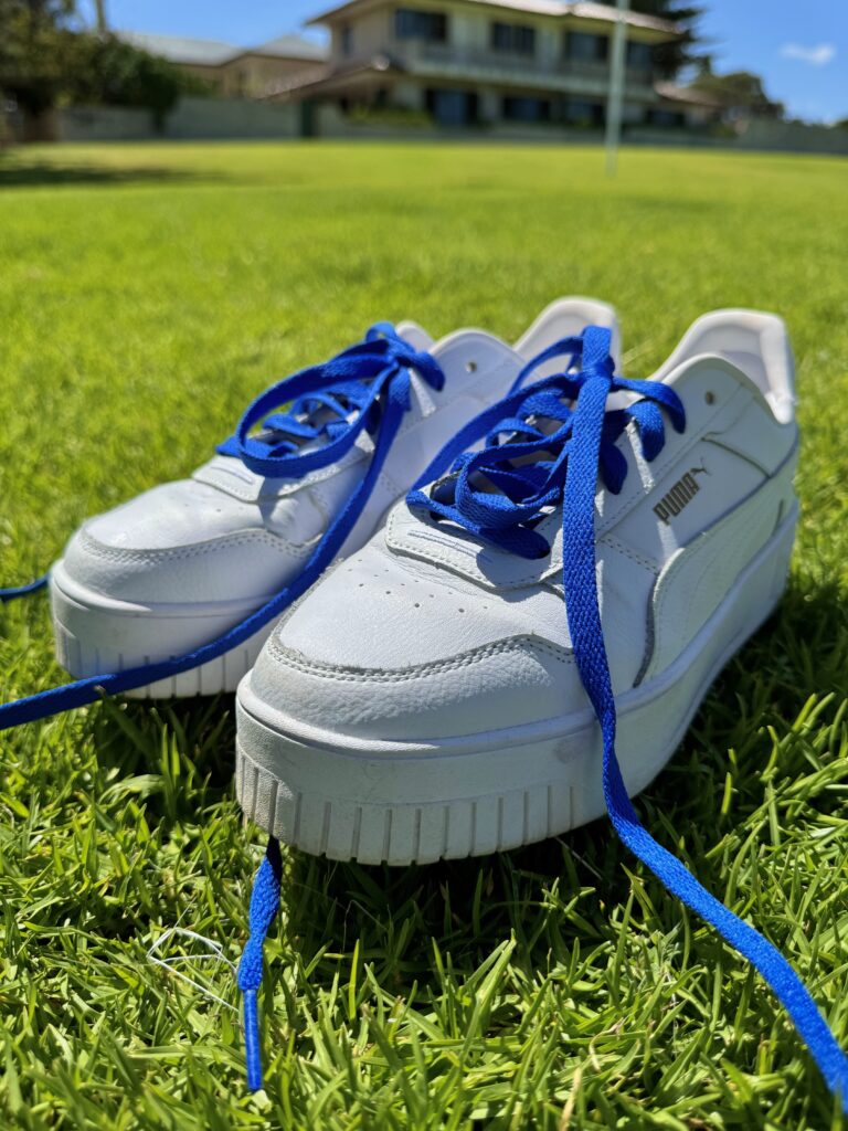 Blue Laces - Blue Tree Project