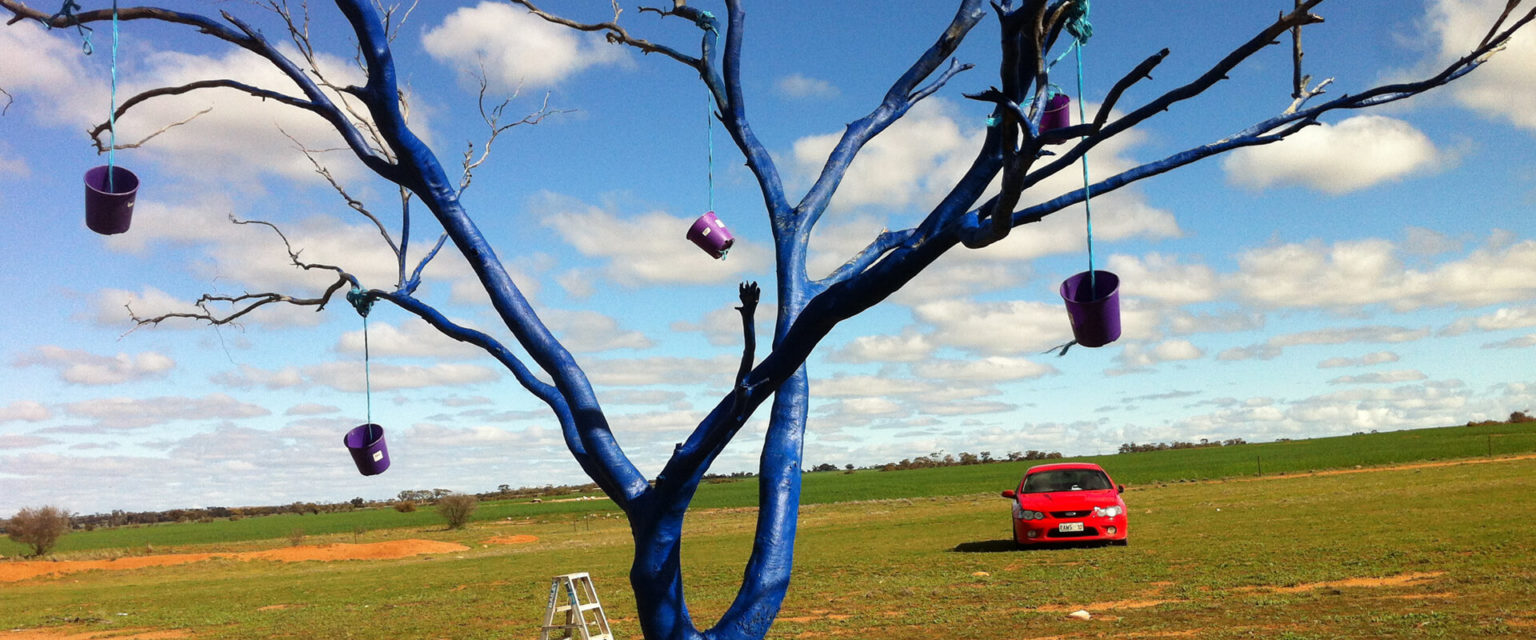 Our Story - Blue Tree Project