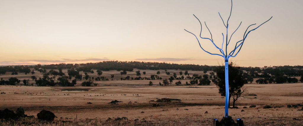 Introducing Blue Tree Project's 'Help Directory' - Blue Tree Project