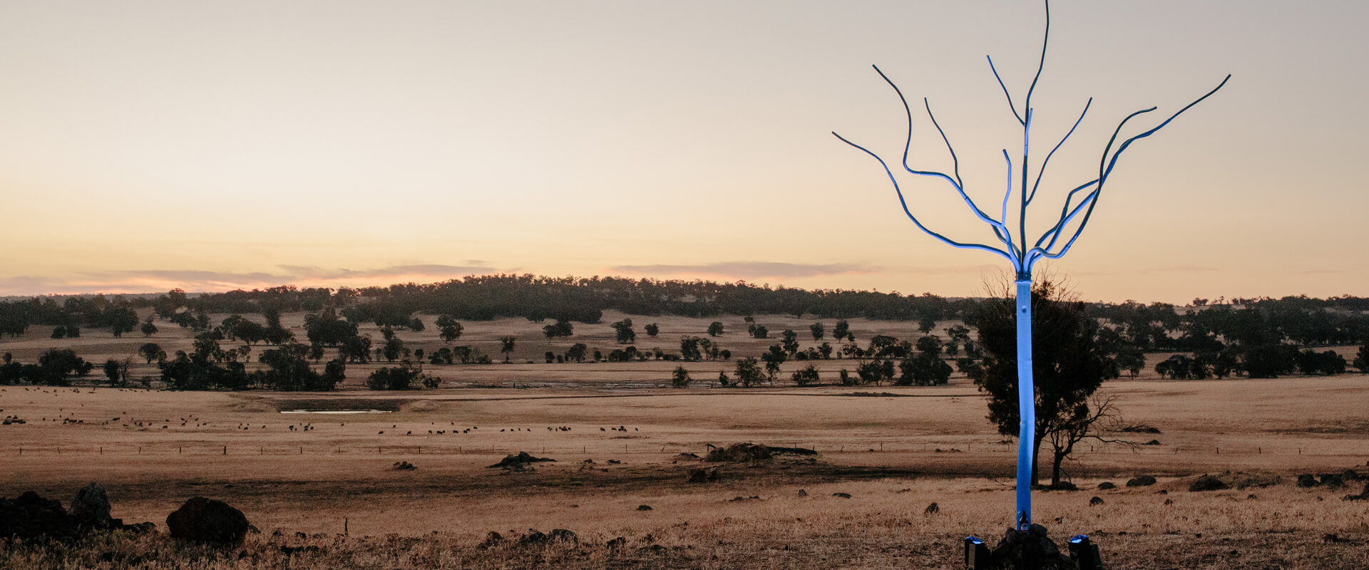 Introducing Blue Tree Project's 'Help Directory' - Blue Tree Project