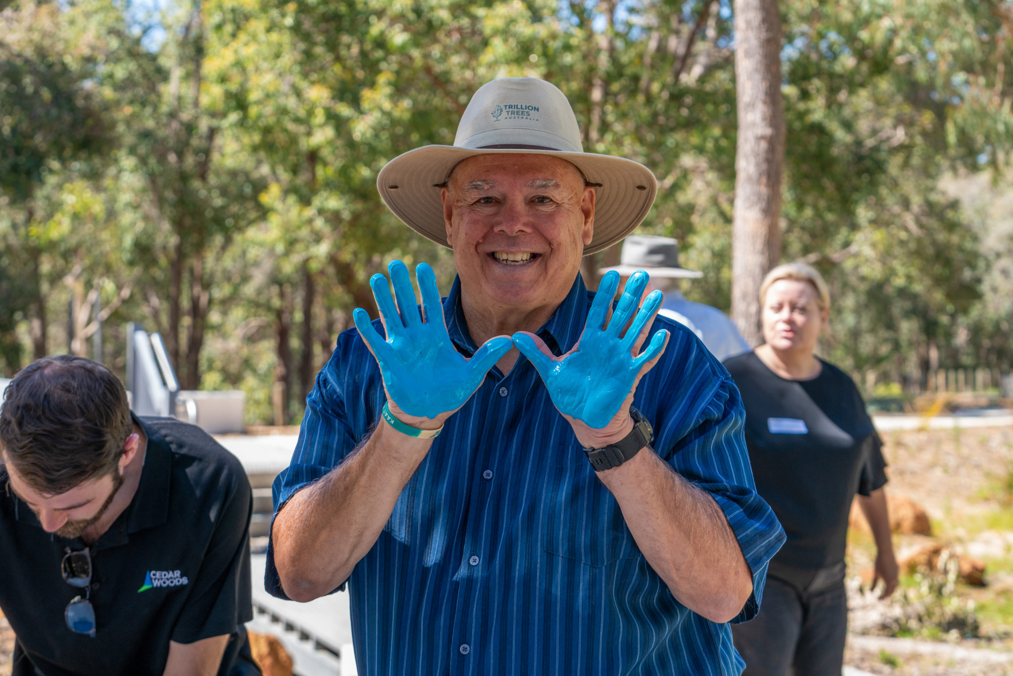 FAQs - Blue Tree Project