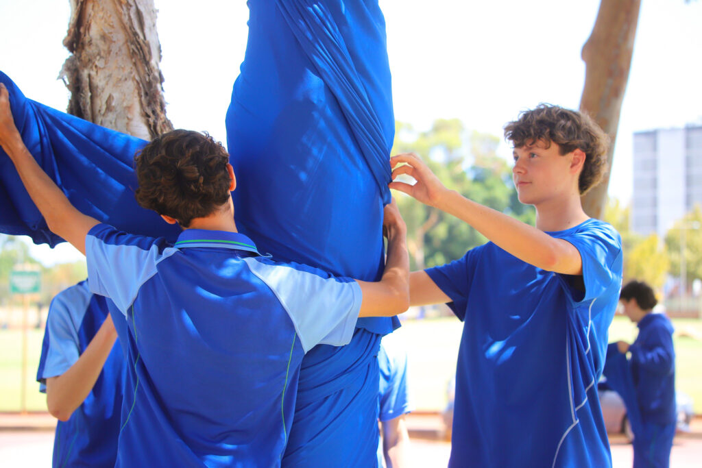 FAQs - Blue Tree Project