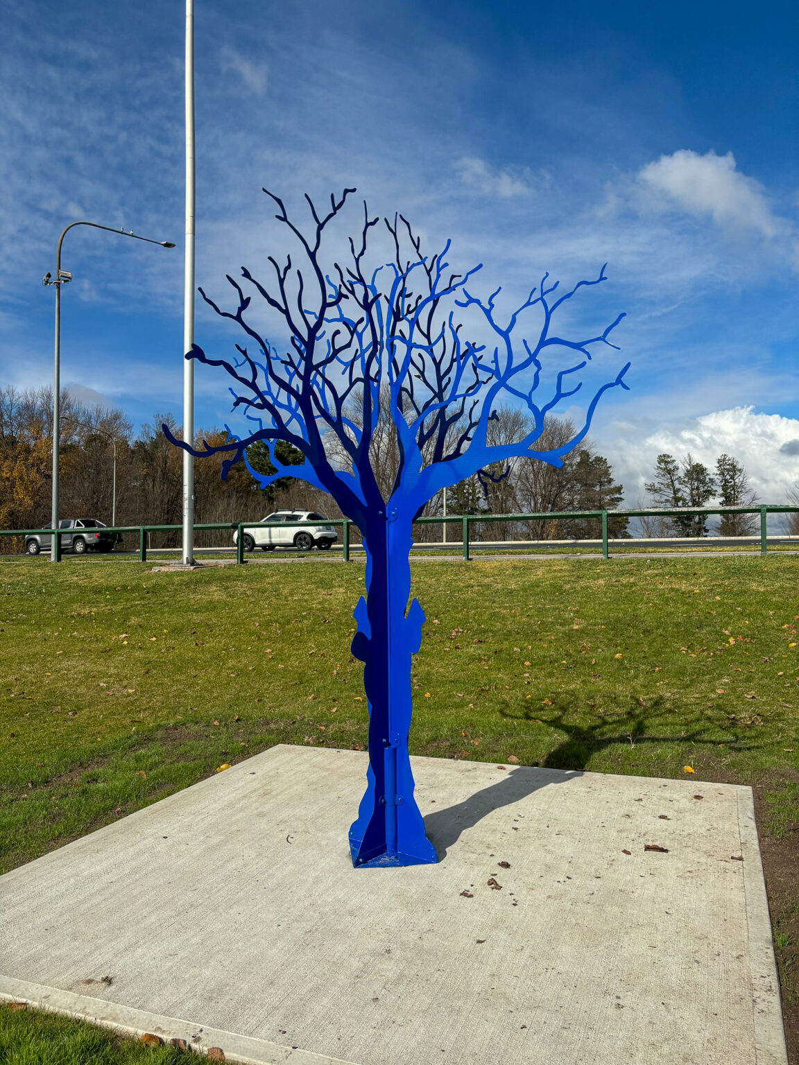 FAQs - Blue Tree Project