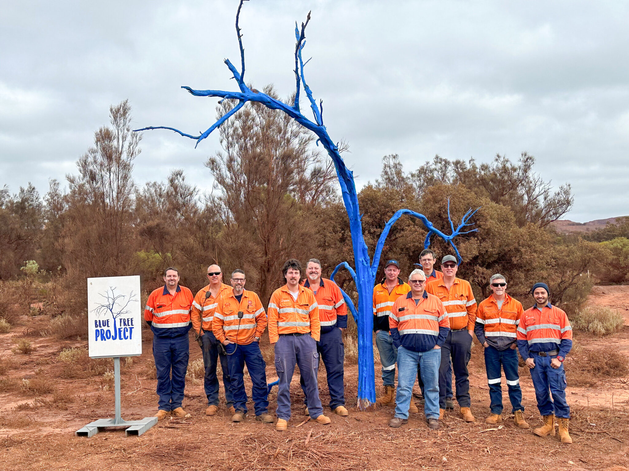 Home - Blue Tree Project